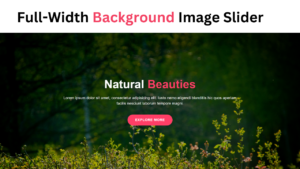 CSS Animations and All Kinds of Website Source Codes